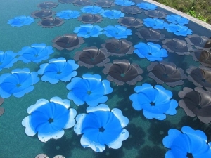 These Floating Solar Panel Flowers Heat Up Your Pool