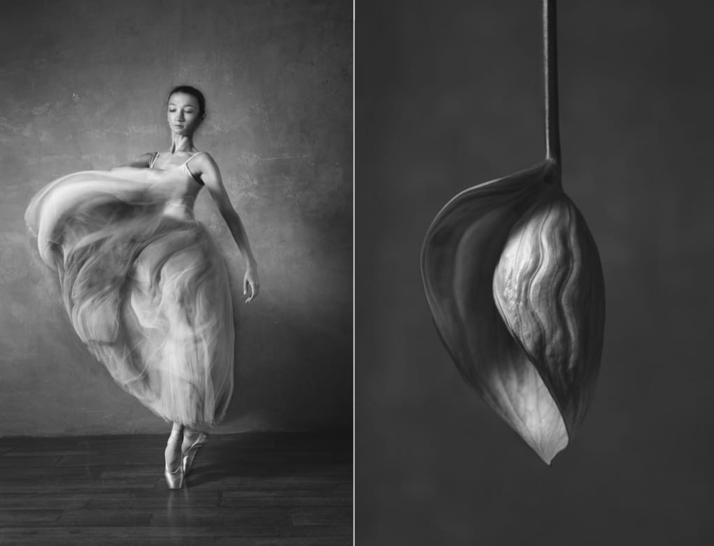 Photographer Shows Connection Between Ballet and Blooming Flowers