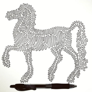 Continuous Line Drawings Capture Nature as Abstract Shapes