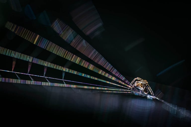 See the 2020 Macro Art Photogrpahy Winners of the IGPOTY Awards