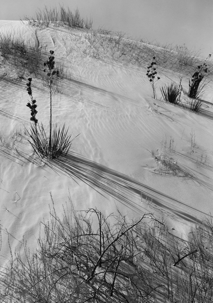 10 Facts About Ansel Adams, the Pioneering Photographer and ...