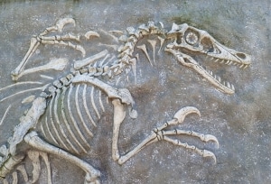 Map Reveals What Dinosaurs Once Roamed Your Hometown