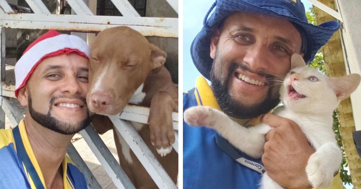 Mailman Befriends Adorable Dogs and Cats Who Live Along His Route