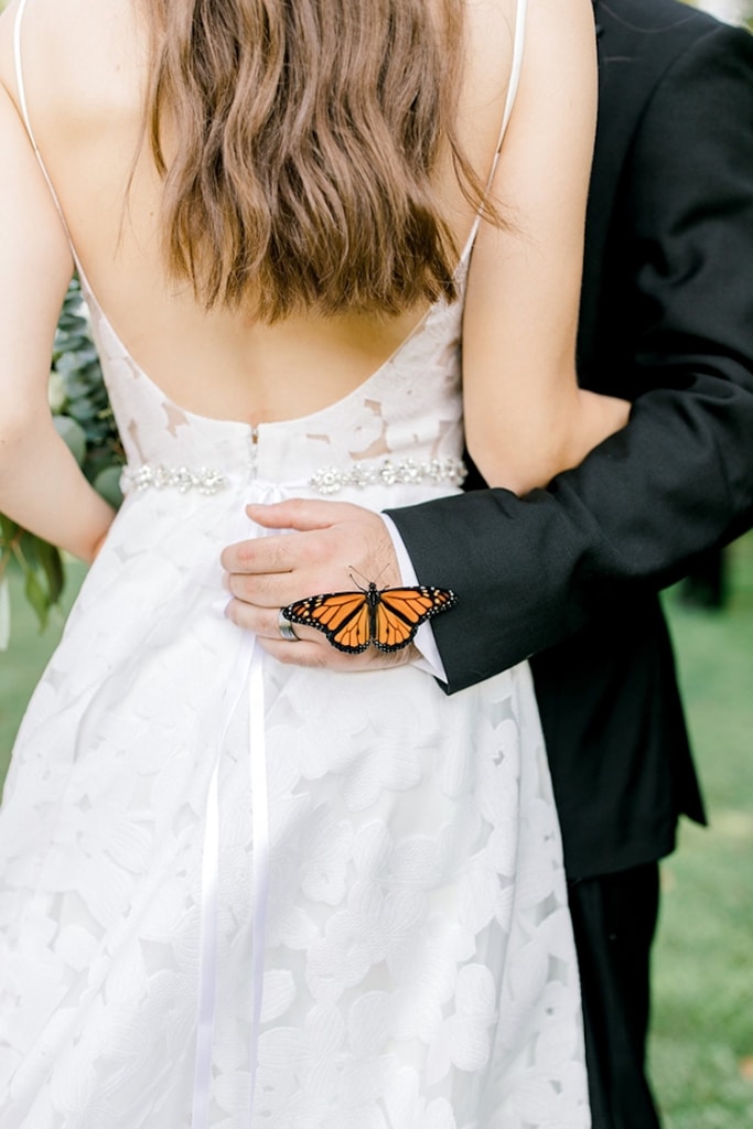 Wedding Photoshoot Gets a Fairytale Photobomb by a Beautiful Monarch ...