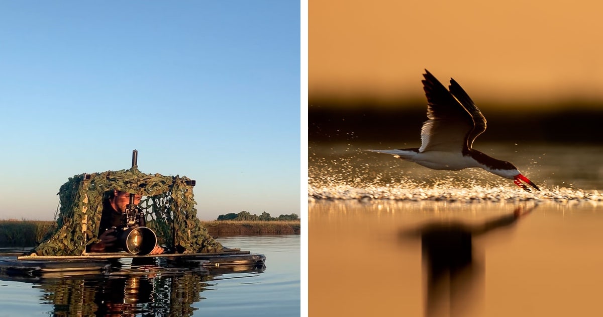Photographer Makes Floating Bird Hide to Go Incognito in the Wild