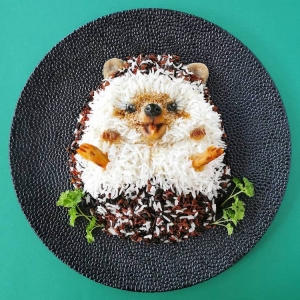 Creative Mom Turns Everyday Meals into Animal-Inspired Food Art