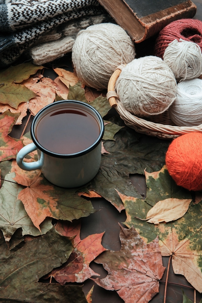 22 Cozy Fall Knitting and Crochet Patterns for All Levels