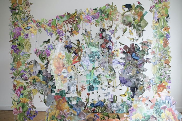 Earth’s Biodiversity Comes Alive in Clare Börsch's Giant Collage Art