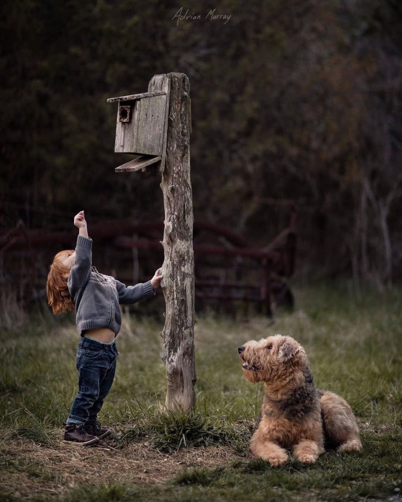 This Loving Father Captures the Magic of Everyday Moments With His 4 ...