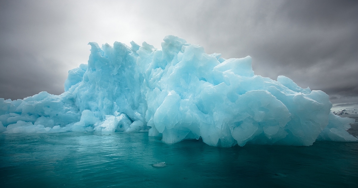 Incredible Winners of the 2020 International Photography Awards