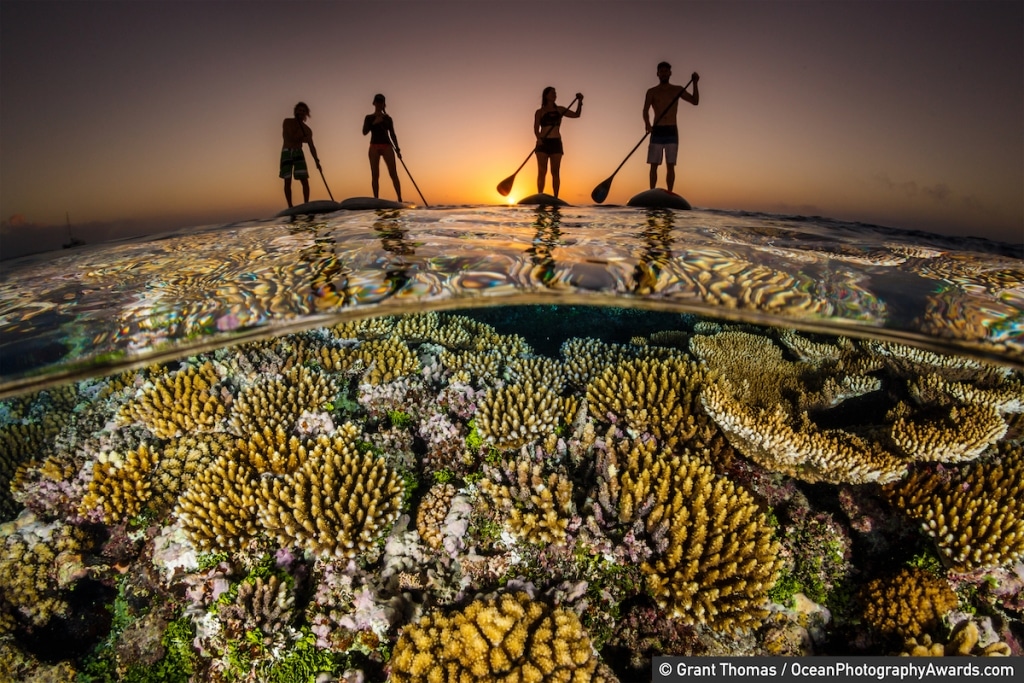 Amazing Finalists of Ocean Photography Awards Pay Homage to the ...