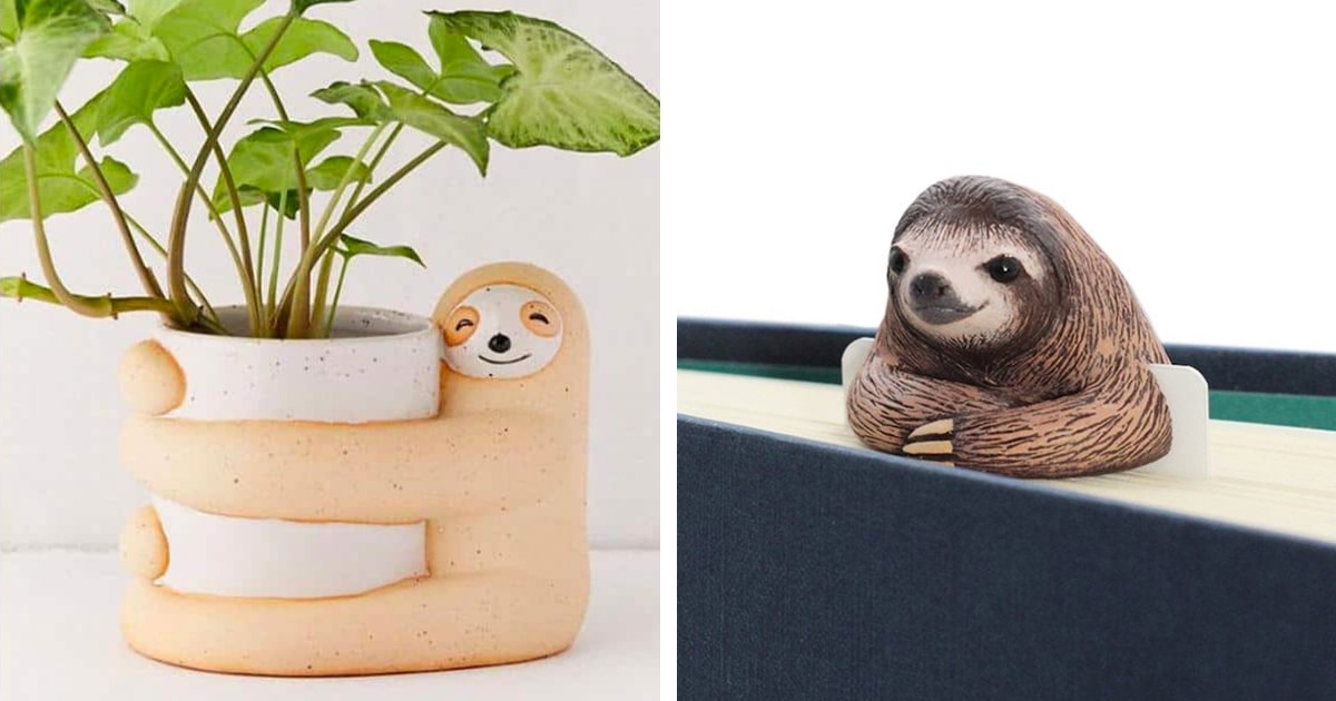 15+ Easy-Going Gift Ideas for Anyone That Loves Sloths