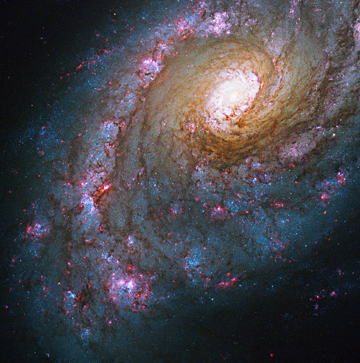 NASA Releases 30 New Space Images From The Hubble Telescope NASA Releases 30 New Space Images From The Hubble Telescope