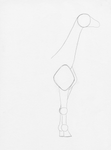 Learn How to Draw a Giraffe in This Step-by-Step Tutorial | My Modern Met