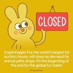 30+ Good News Stories That Will Help Restore Your Faith in the World