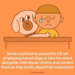 30+ Good News Stories That Will Help Restore Your Faith in the World