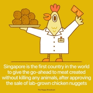 30+ Good News Stories That Will Help Restore Your Faith in the World