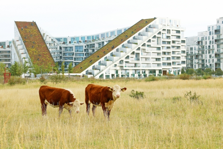 The Architecture of BIG - 10 Great Buildings by Bjarke Ingels Group