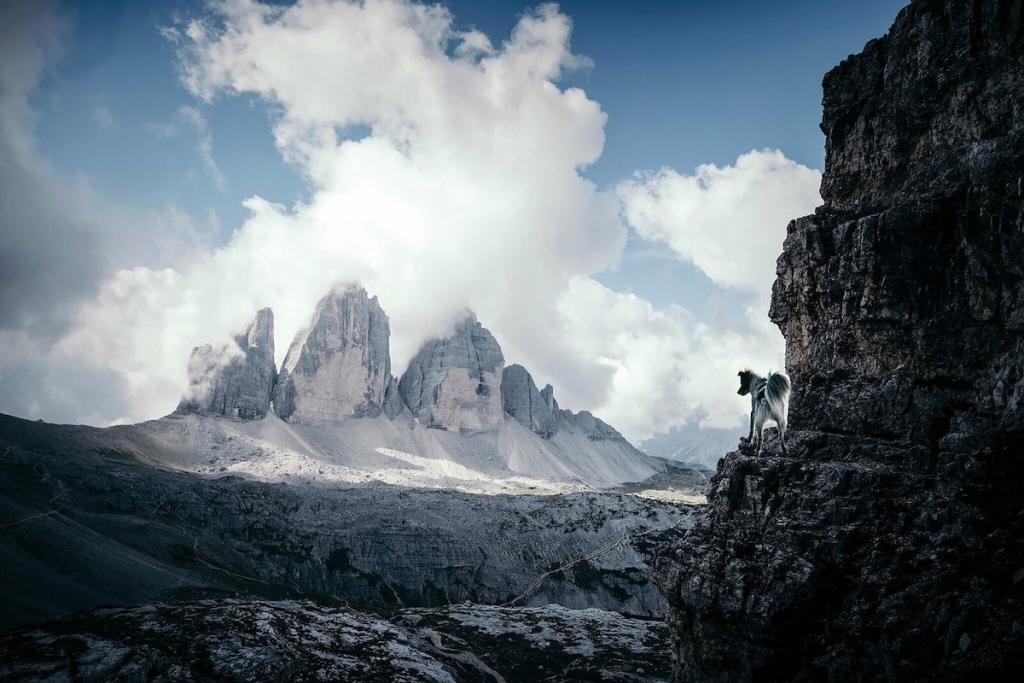 Anne Grier toma increíbles fotos de viajes con sus perros