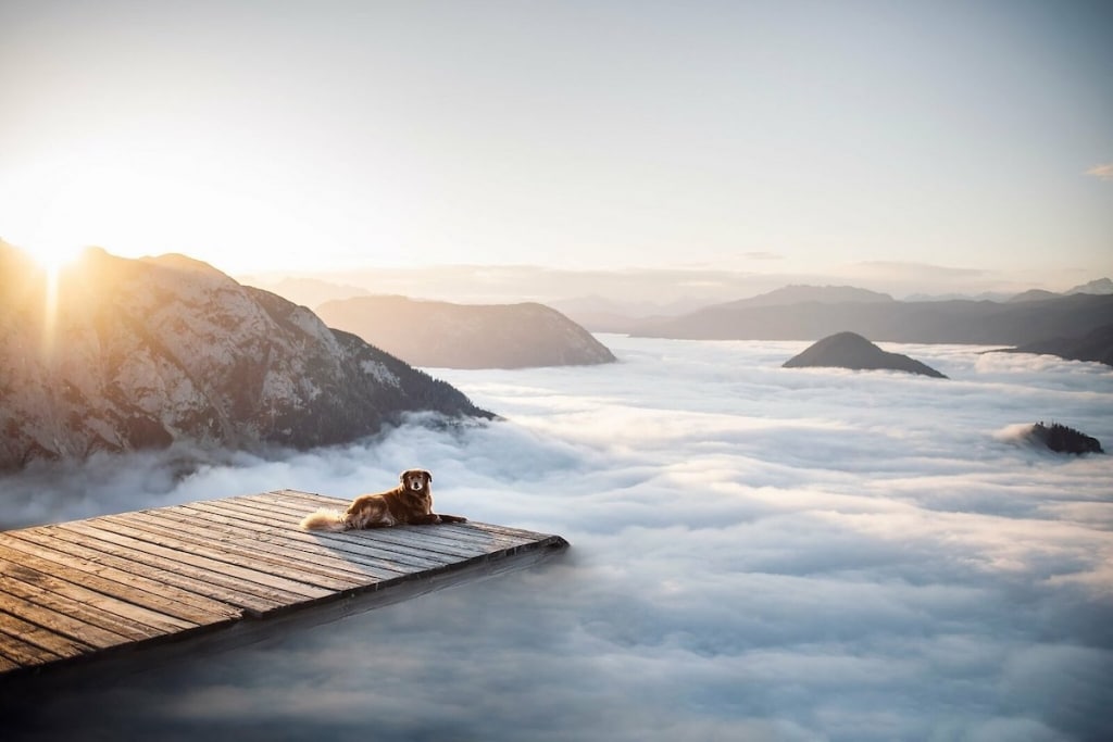 Anne Grier Captures Gorgeous Travel Photography With Dogs