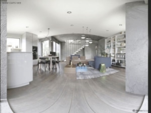 Digitally Rendered Images Reveal How Different Animals See the World