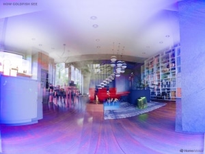 Digitally Rendered Images Reveal How Different Animals See the World