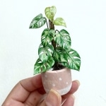 Handmade Paper Plants Look Just Like Real Botanicals in Miniature