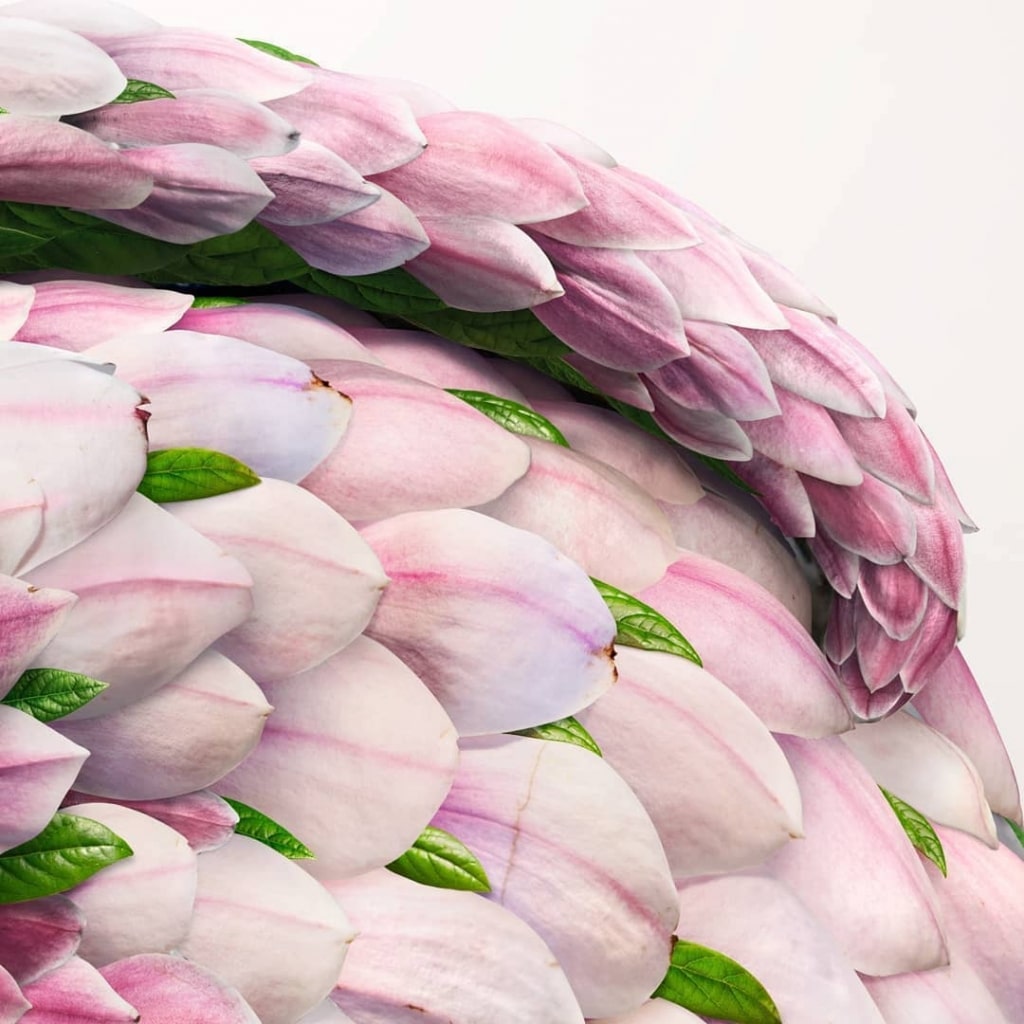Digital Artist Creates Portraits of Animals from Flower Petals and Leaves