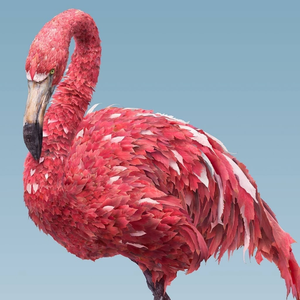 Digital Artist Creates Portraits of Animals from Flower Petals and Leaves