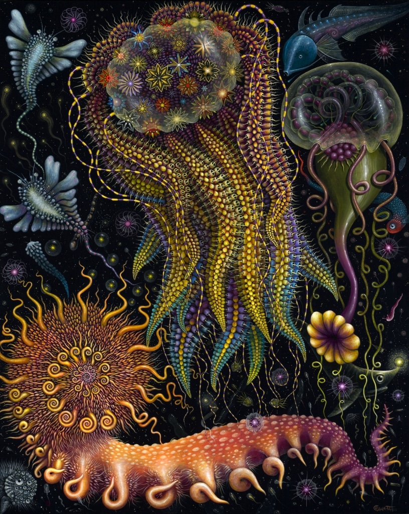 Artist Captures Diverse Ecosystems in Amazing Acrylic Paintings