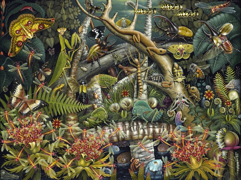 Artist Captures Diverse Ecosystems in Amazing Acrylic Paintings