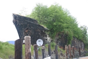 Tree-Filled Ship Creatively Used as Breakwater in Washington State