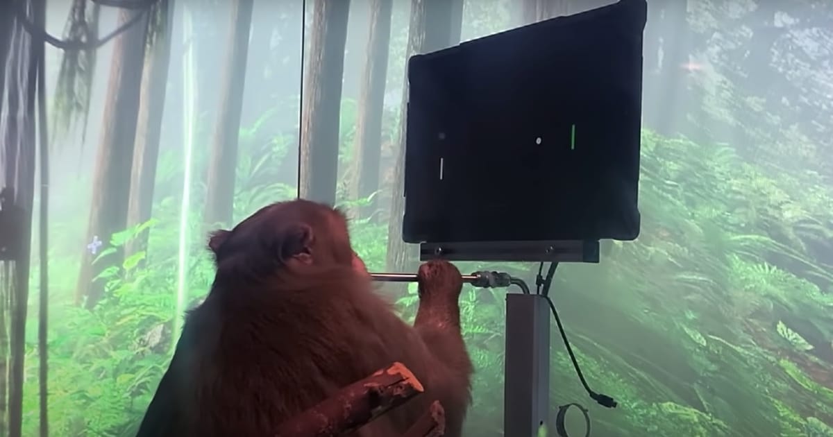 Elon Musk's Neuralink Taught Monkey To Play Video Game With Its Mind