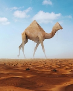 Artist Creates Breathtaking Dreamscapes With Surreal Photo Manipulations