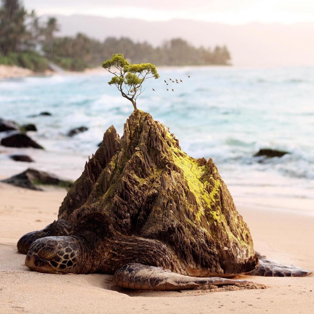 Este artista crea escenas de ensueño con ayuda de la edición fotográfica