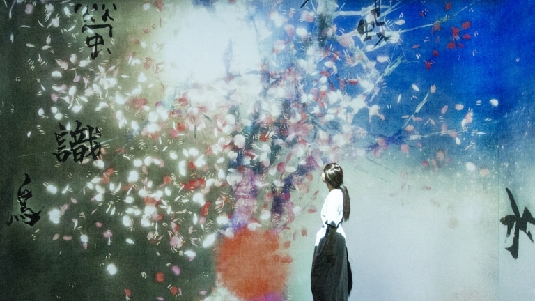 Interactive Digital Art Installation Immerses Viewers in Mesmerizing Worlds