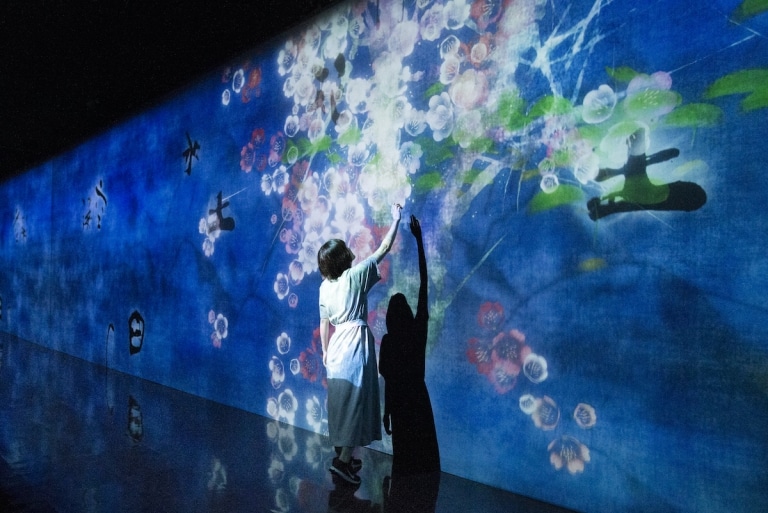 Interactive Digital Art Installation Immerses Viewers in Mesmerizing Worlds