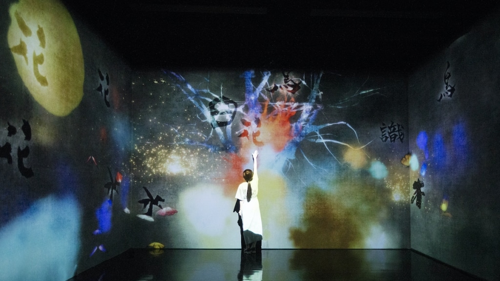Interactive Digital Art Installation Immerses Viewers in Mesmerizing Worlds