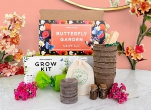 18 Gardening and Grow Kits To Help Cultivate Your Green Thumb