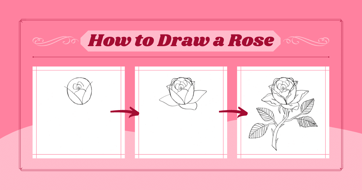 Rose Drawing Tutorial Tumblr