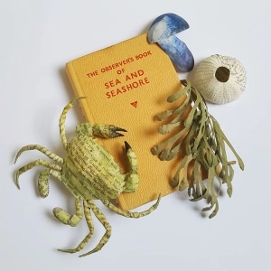 Books and Paper Become Intricate Sculptures of Insects and Plant Life