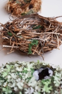 Books and Paper Become Intricate Sculptures of Insects and Plant Life