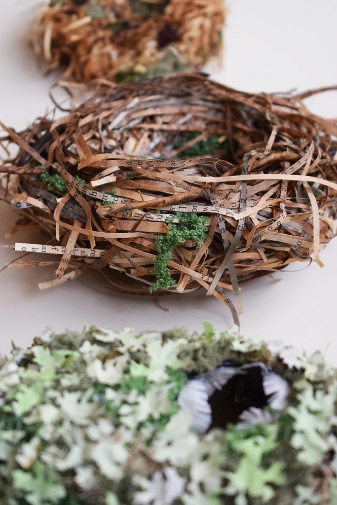 Books and Paper Become Intricate Sculptures of Insects and Plant Life