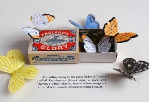 Books and Paper Become Intricate Sculptures of Insects and Plant Life