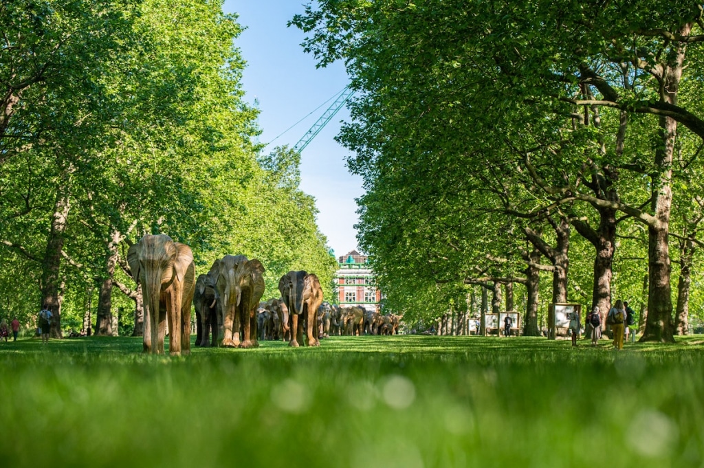 Lantana Elephant Sculptures Take Over London in a Global Migration