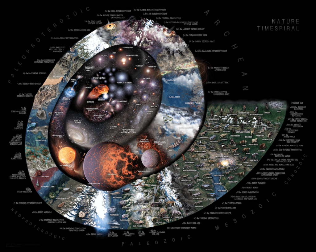 Illuminating Infographic Visualizes Nature as a "Time Spiral"