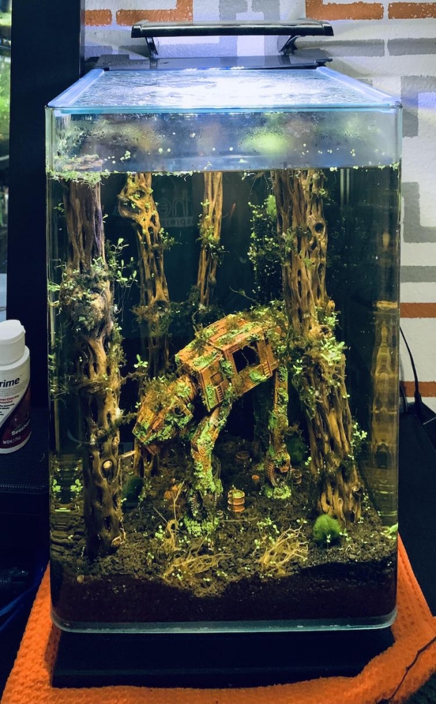 Woman Creates a ‘Star Wars’-Themed Fish Tank That Looks Like an ...