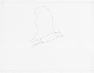 Learn How to Draw a Bat Flying in the Sky Step by Step | My Modern Met