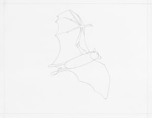 Learn How to Draw a Bat Flying in the Sky Step by Step | My Modern Met
