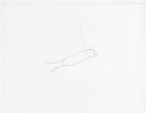 Learn How to Draw a Bat Flying in the Sky Step by Step | My Modern Met